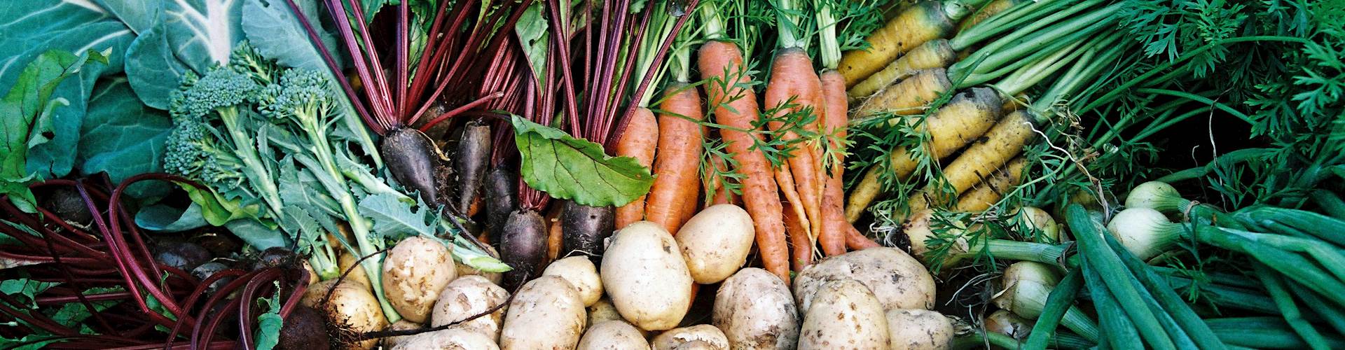 Friland | LM Odla - Odlingsstrategier för lantbrukare